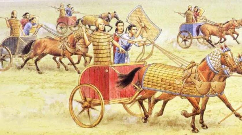 كيكولي Kikkuli ...التدريب الاحترافي للخيول في الشرق - صحيفة روناهي